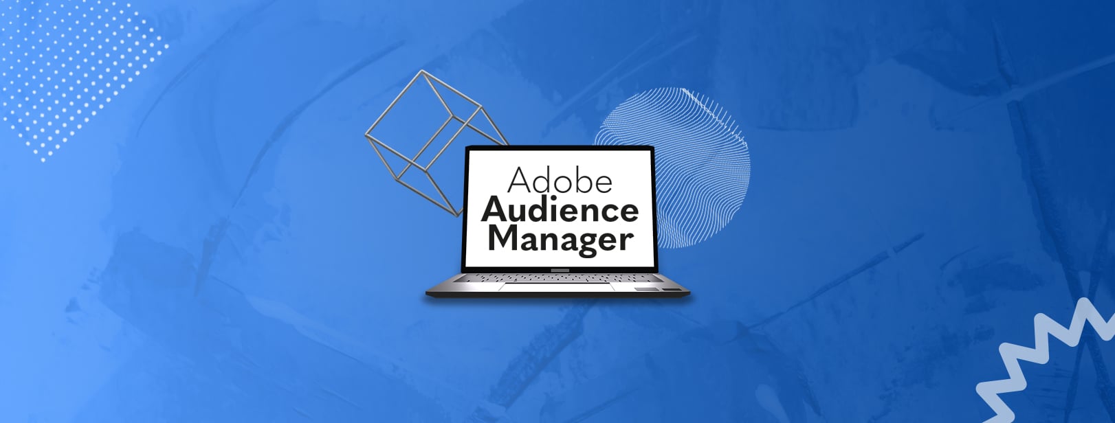 Adobe Audience Manager